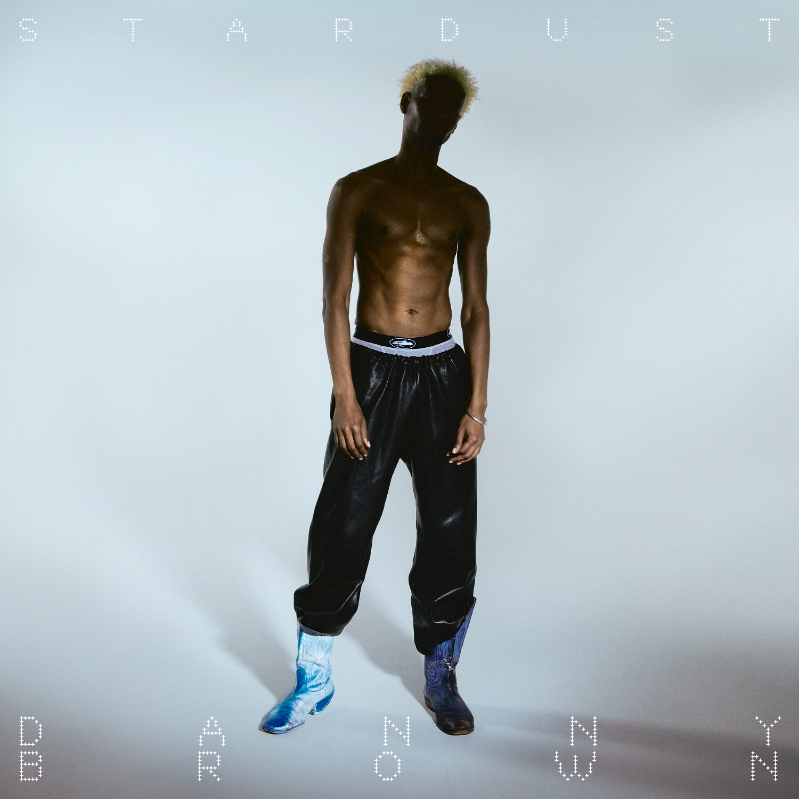 Danny Brown - Stardust review • DIY Magazine