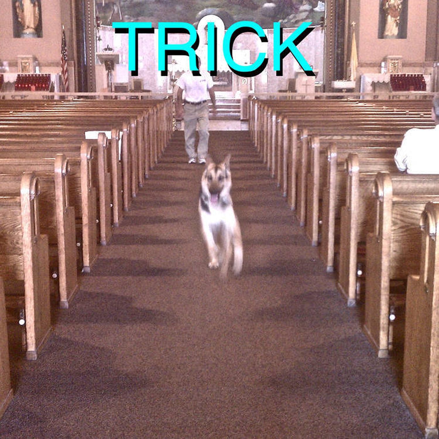 Alex G Trick Rules Review DIY Magazine